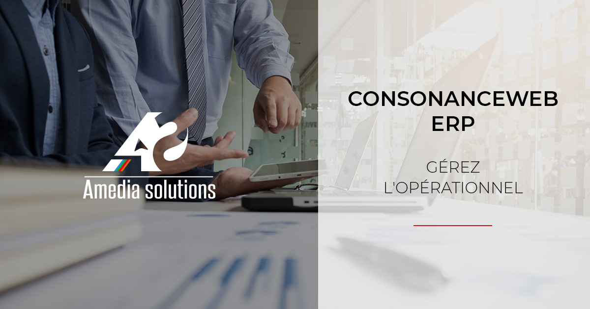 ConsonanceWeb ERP
